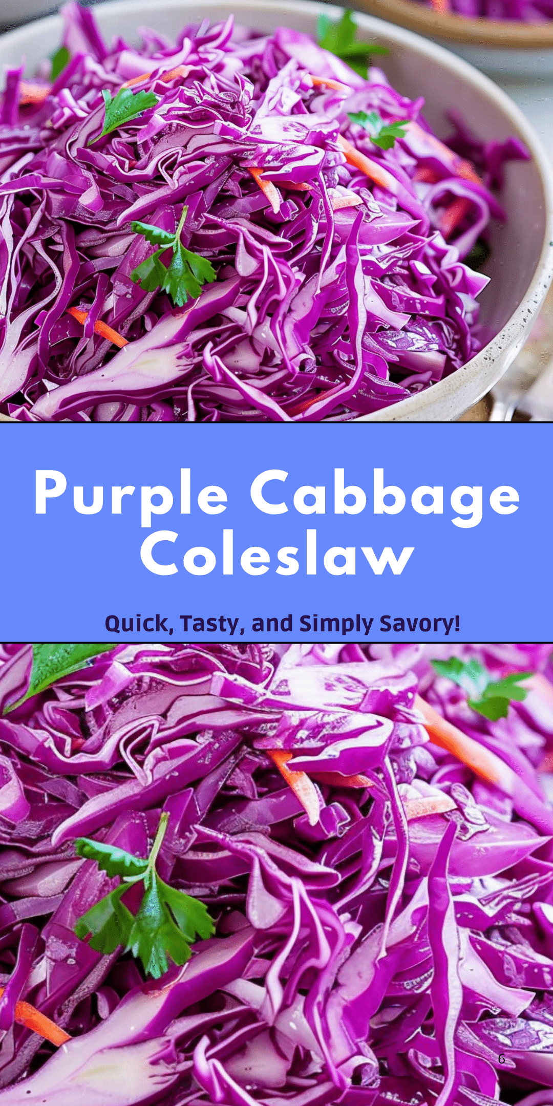 Purple Cabbage Coleslaw | Just So Savory