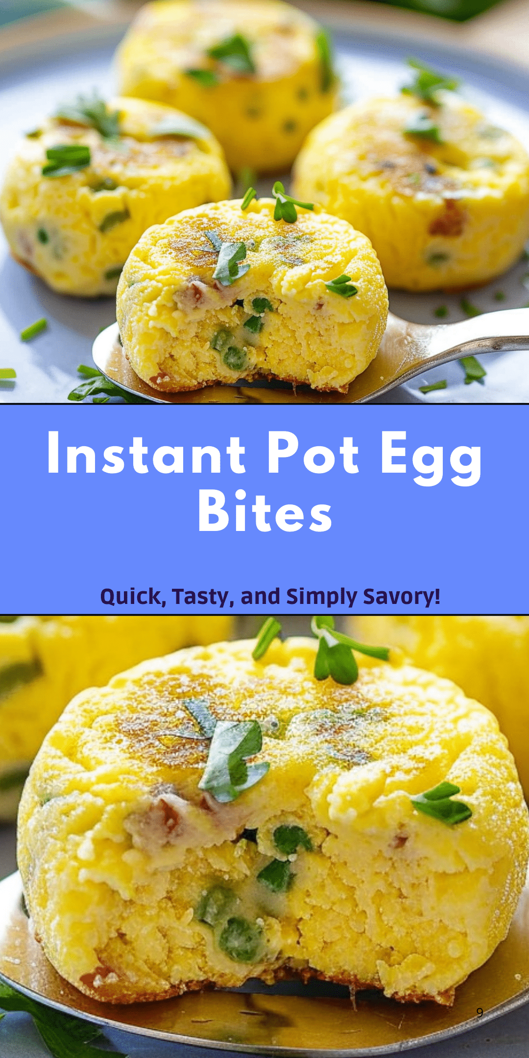 Instant Pot Egg Bites | Just So Savory