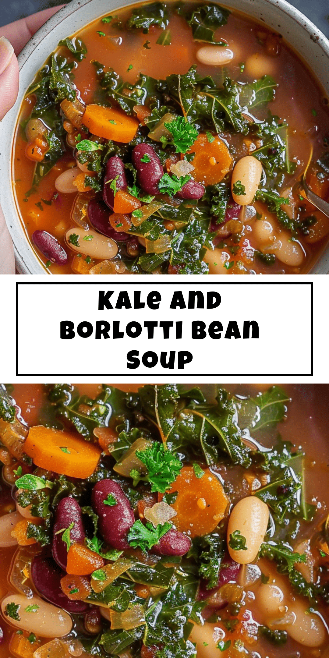 Kale and Borlotti Bean Soup | Just So Savory