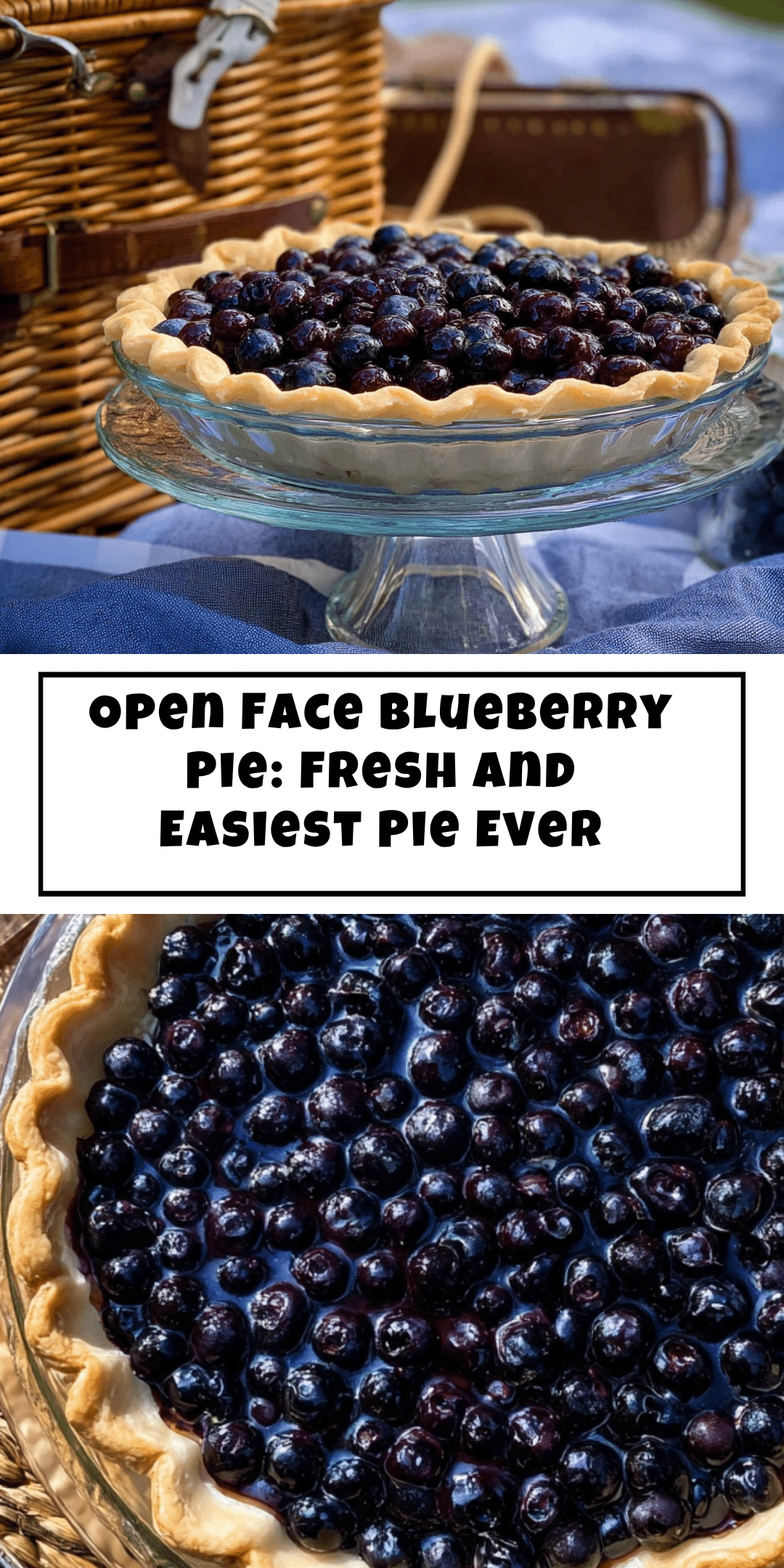 Open Face Blueberry Pie: Fresh and Easiest Pie Ever | Just So Savory